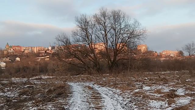 Почему  выбирали Евреек