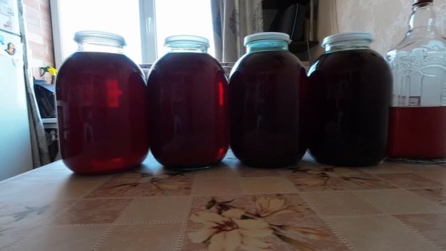 Вино из яблочной закваски