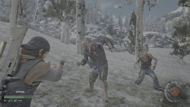 Days Gone: Баг в структуре