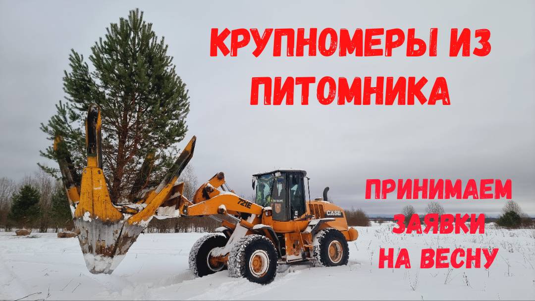 Питомник деревьев Сервис БиС