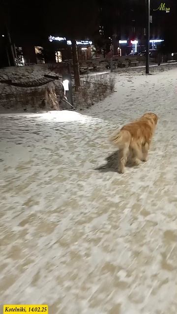 У Алисы радость, 15.02
25