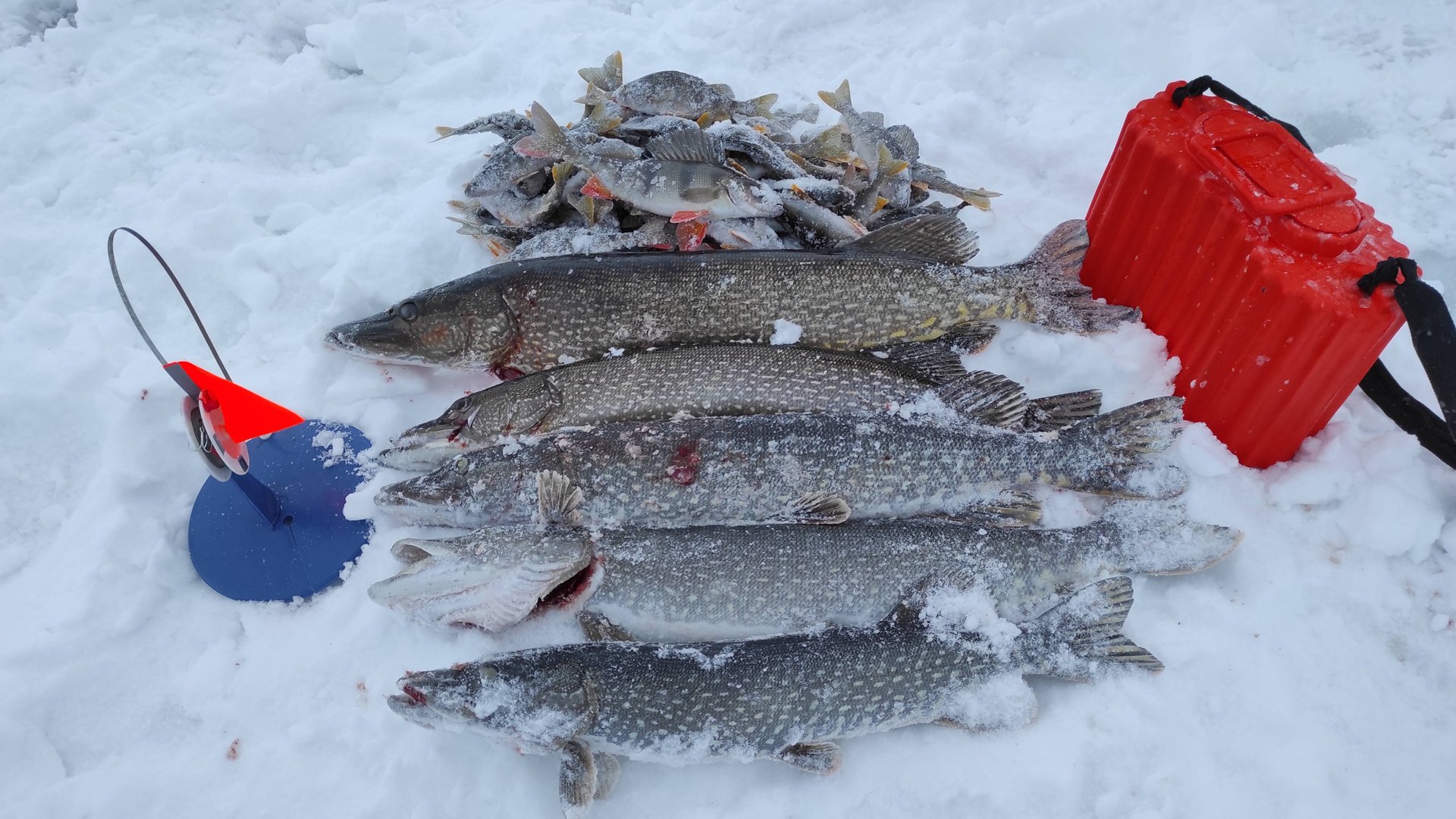 ХОРОШИЙ ДЕНЬ!