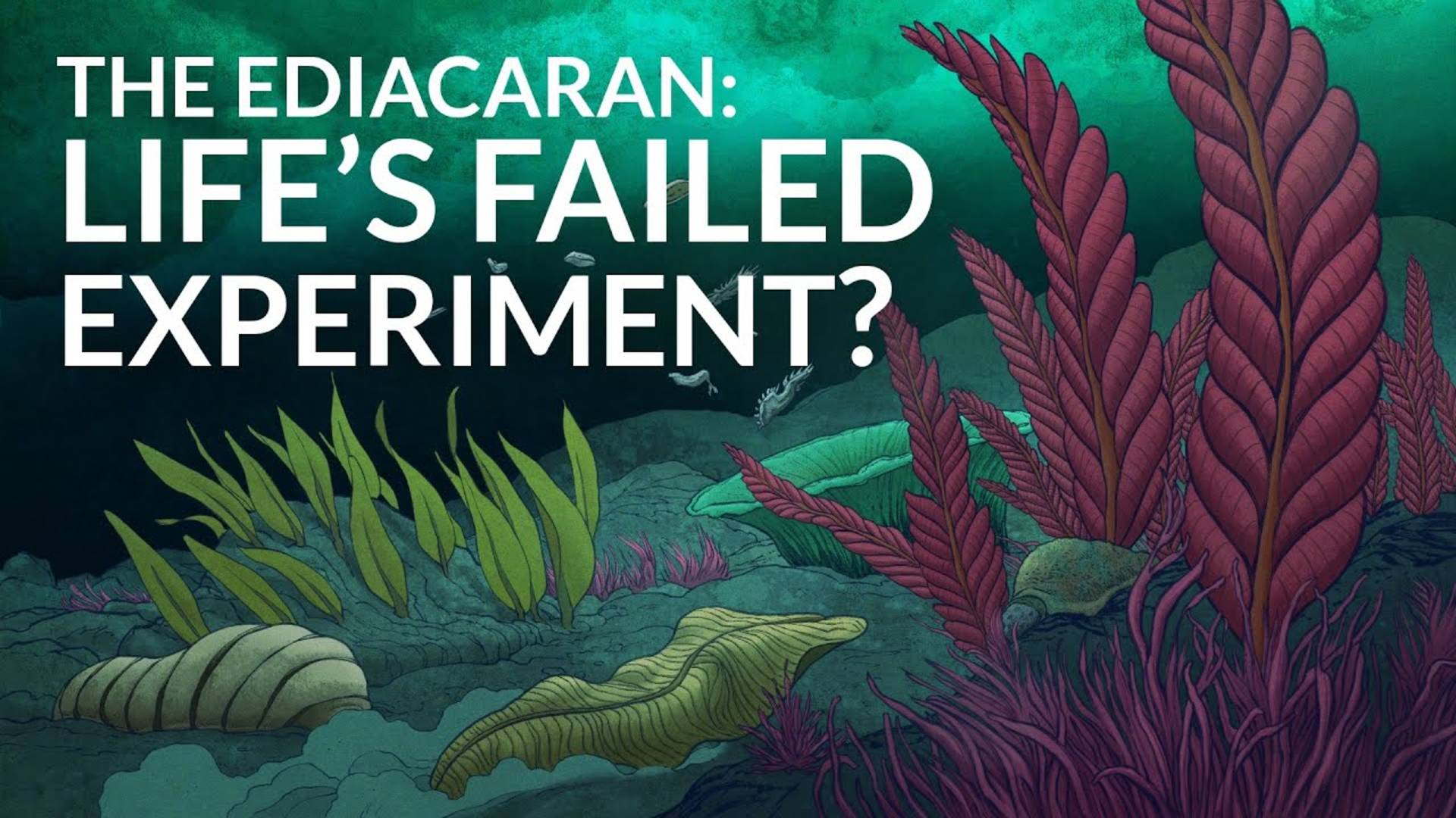 Эдиакарский эксперимент. Провалился ли он? (Were These The First Animals?)