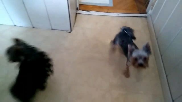 Вы в танцах