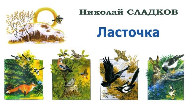 "Ласточка" (автор Николай Сладков) - Слушать