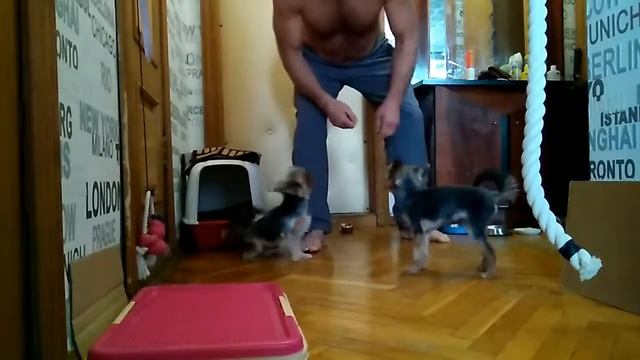 Барьер варианты