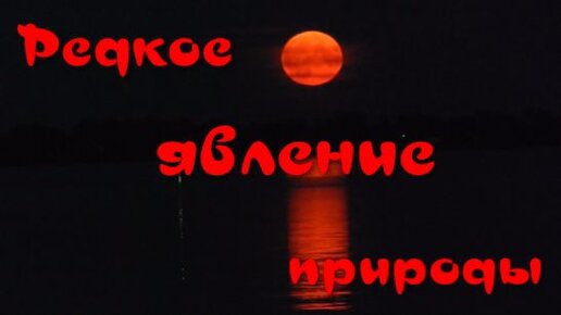 Такой луны я ещё не видел.