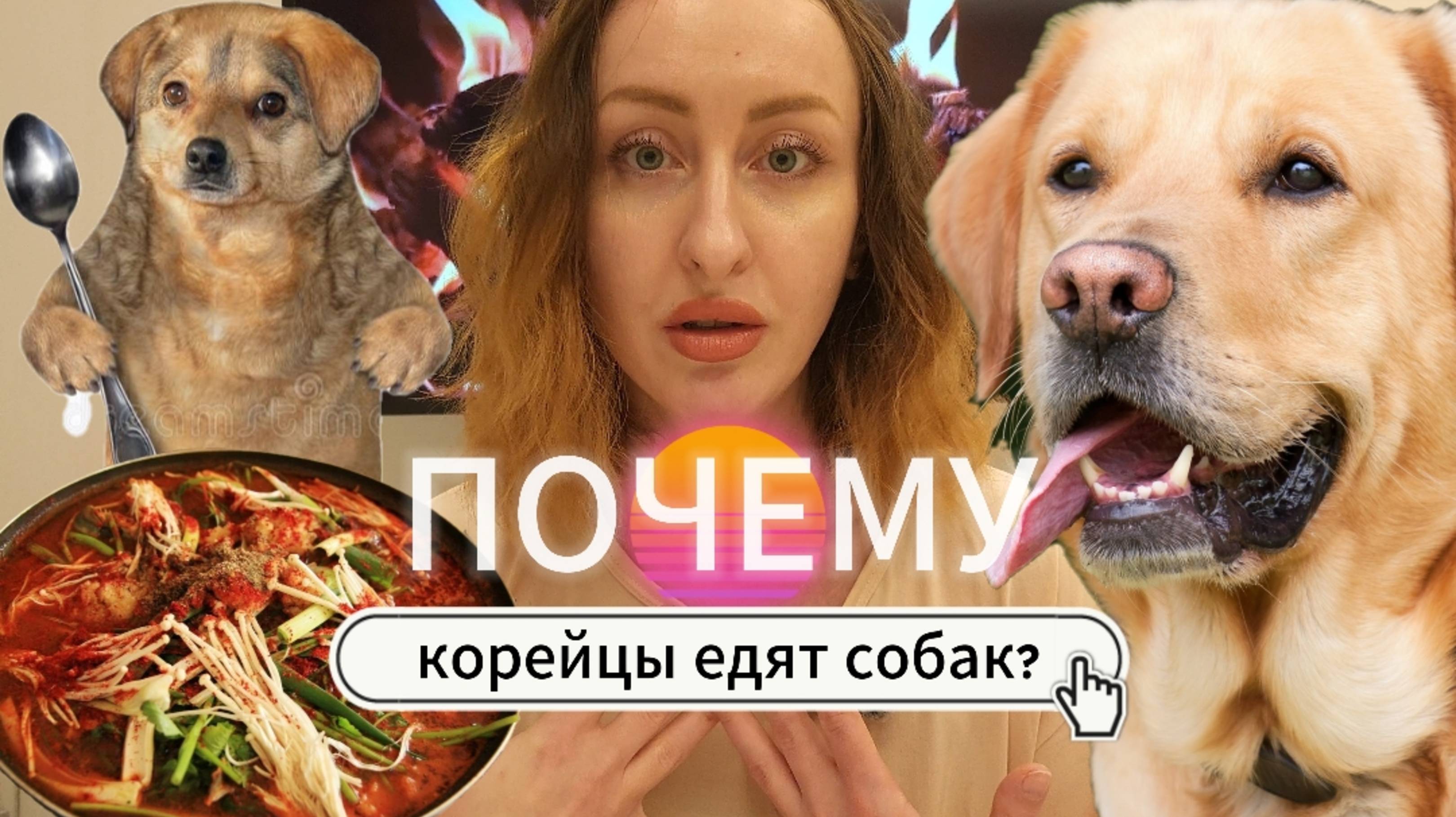 Почему корейцы едят собак? Запрет на продажу собачьего мяса. О чём молчат  #корея #культура