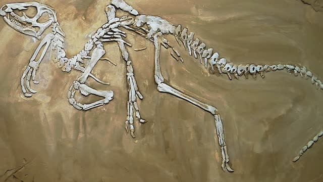 ВЕЛОЦИРАПТОР из гипса Мир Юрского периода