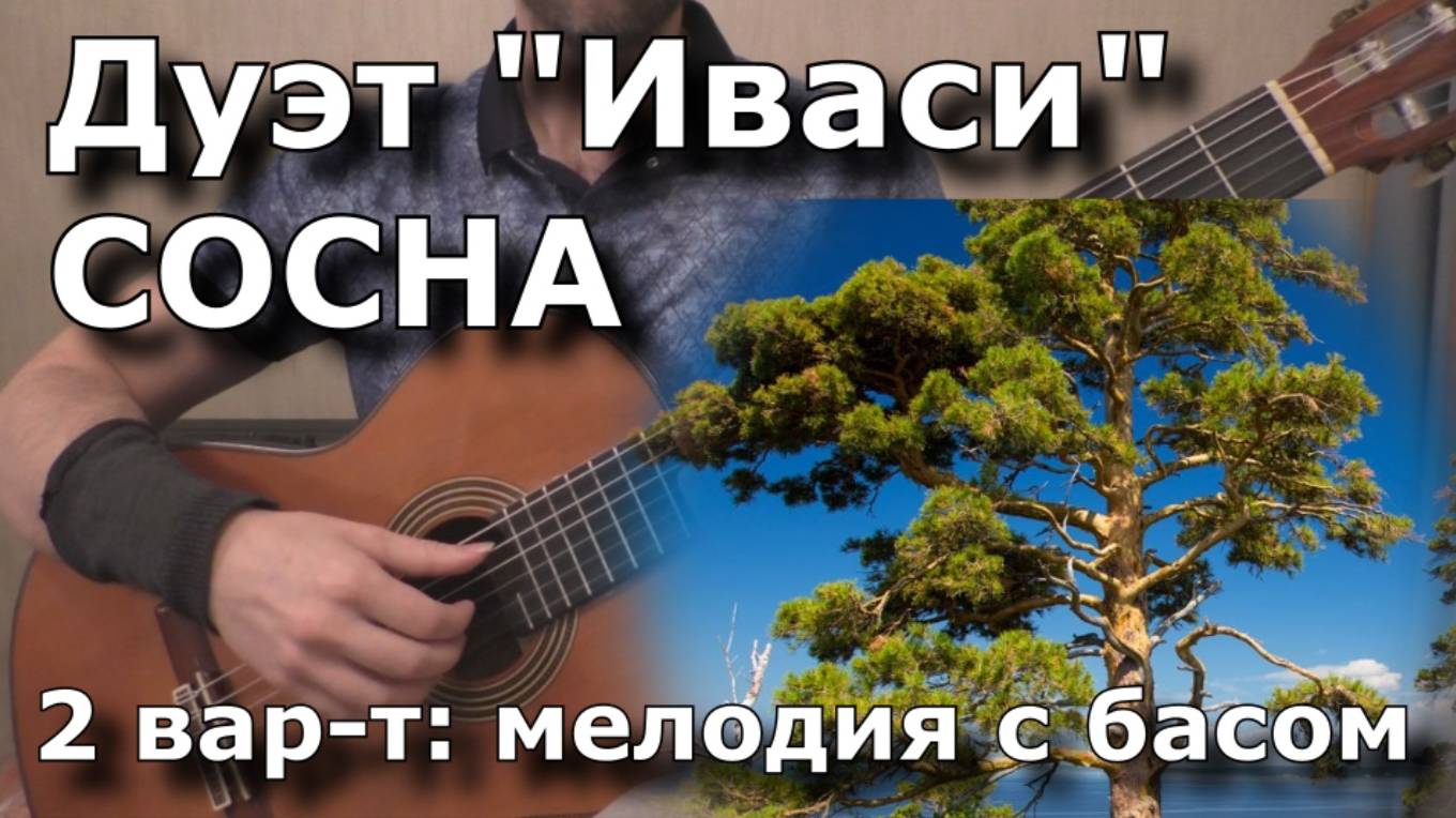 ИВАСИ - Сосна (2вар: мелодия и бас) - разбор и табы