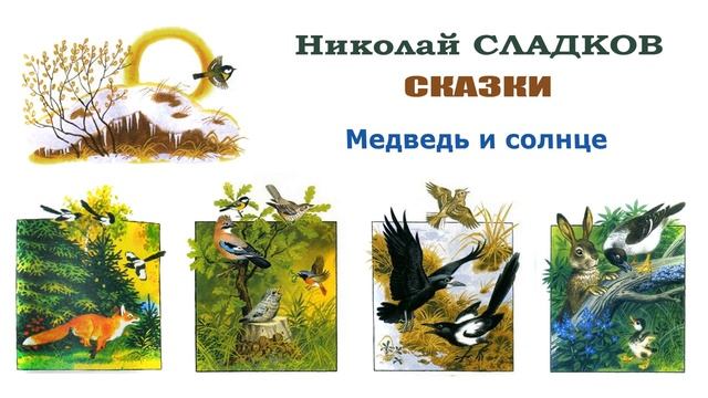 Сказка "Медведь и солнце" (автор Николай Сладков) - Слушать
