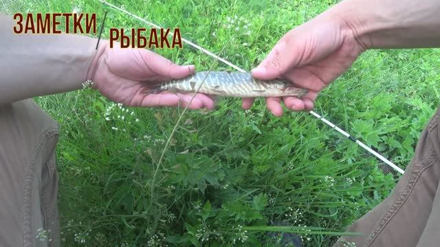 Рыбалка на щуку и уклейку. Тест ультралайта на реке. Чудо воблопопер.