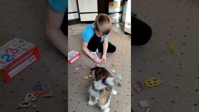 обучение цифр