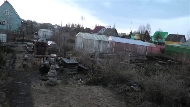 20-23 04 2021г на даче .Цветение крокусов и печеночницы.