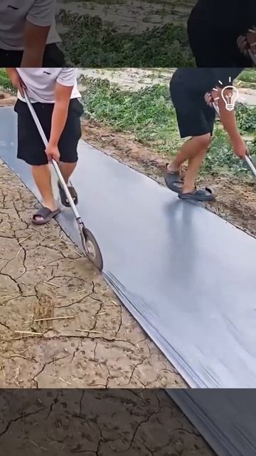 Быстрая укладка черной пленки от сорняков на грядку