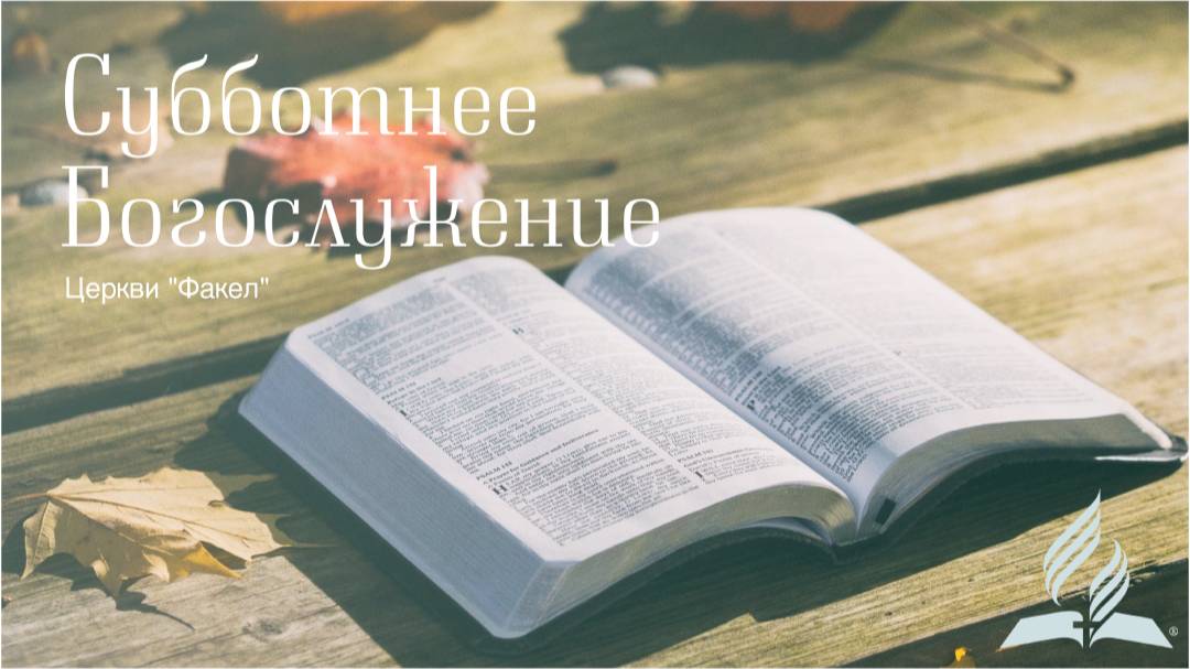 HASD Fakel 15.02.2025