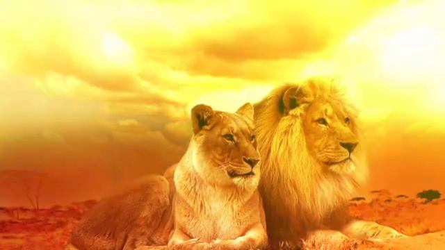 Амаман Амаман Нашид 💦 2025 г❤️🫠