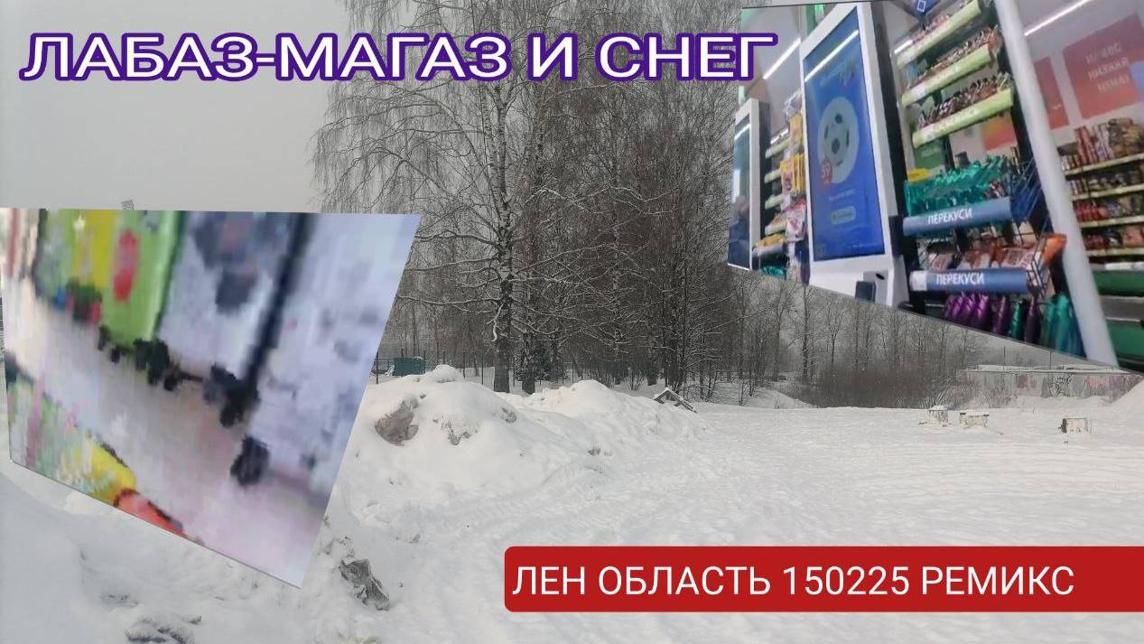 ЛАБАЗ -МАГАЗ И СНЕГ _2025-02-15_ЛЕН ОБЛАСТЬ РЕМИКС