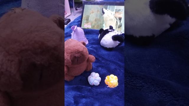 таба лапки EXE "2ЧАСТЬ"
 поставь лайк за фильм в реальной жизни 😂