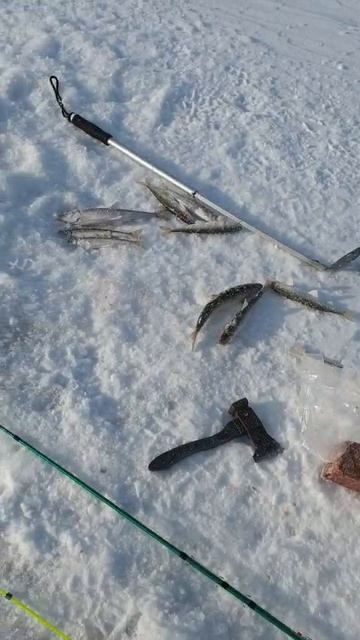 Зубарь на блесну Гусеница большая 2 см UV