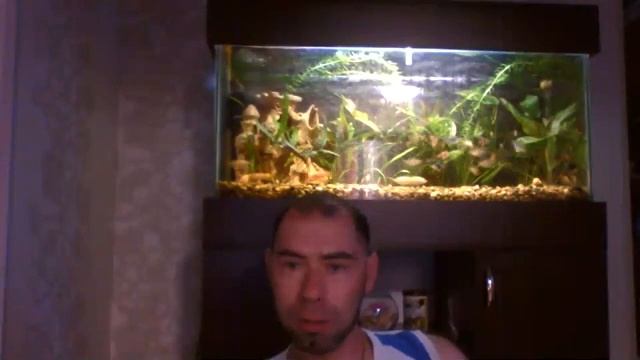 слегка браконьерство)))