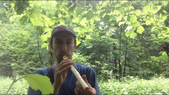 Обертонка тон А в лесу | Overtone Flute tone A in the forest