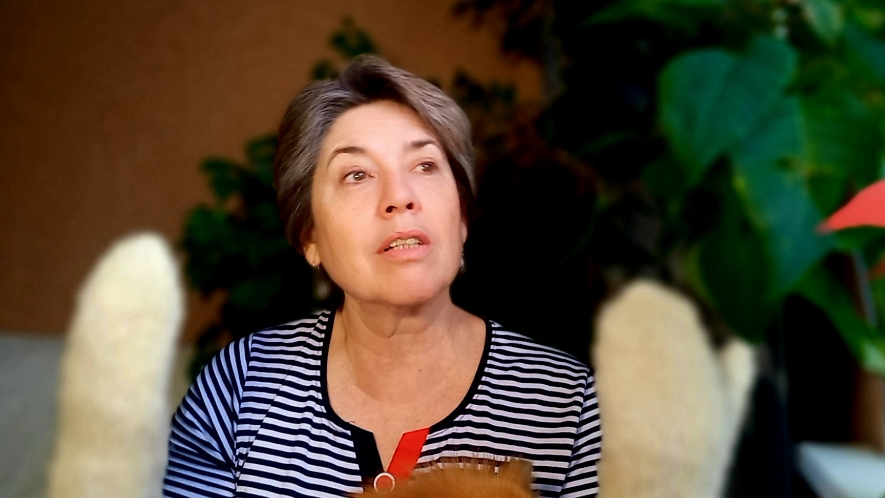 Связала новые варежки, сходила в театр