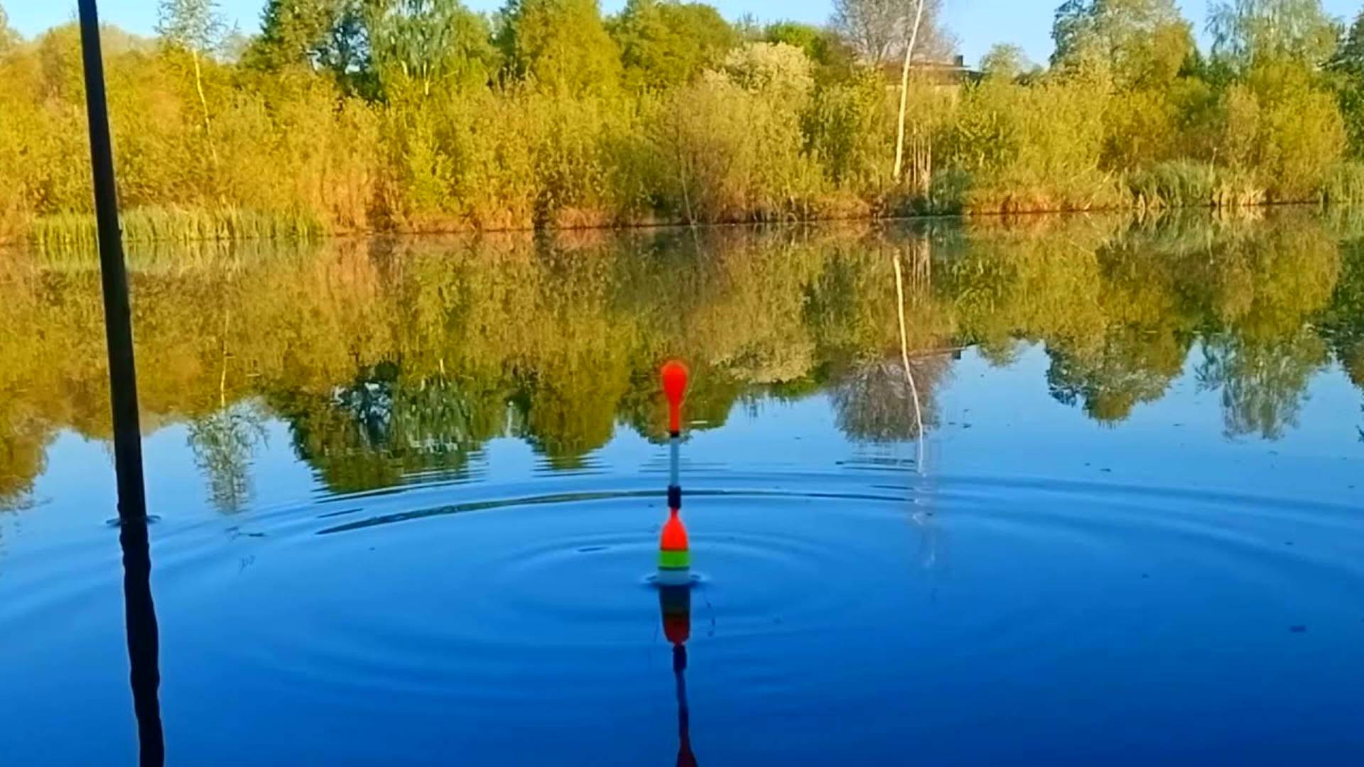 РЫБАЛКА НА ПОПЛАВОЧНУЮ УДОЧКУ. АКТИВНЫЙ КЛЁВ КАРАСЯ.