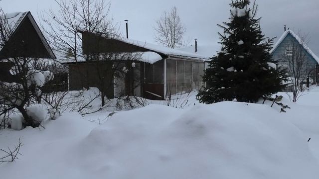 01 02 2022г  рассказ о Рыжике