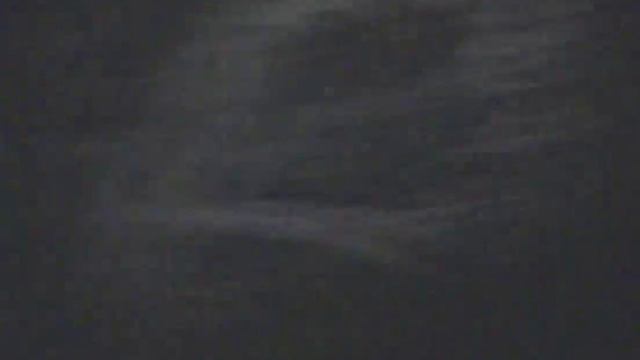 Серая неясыть 4 Загадка птенцов