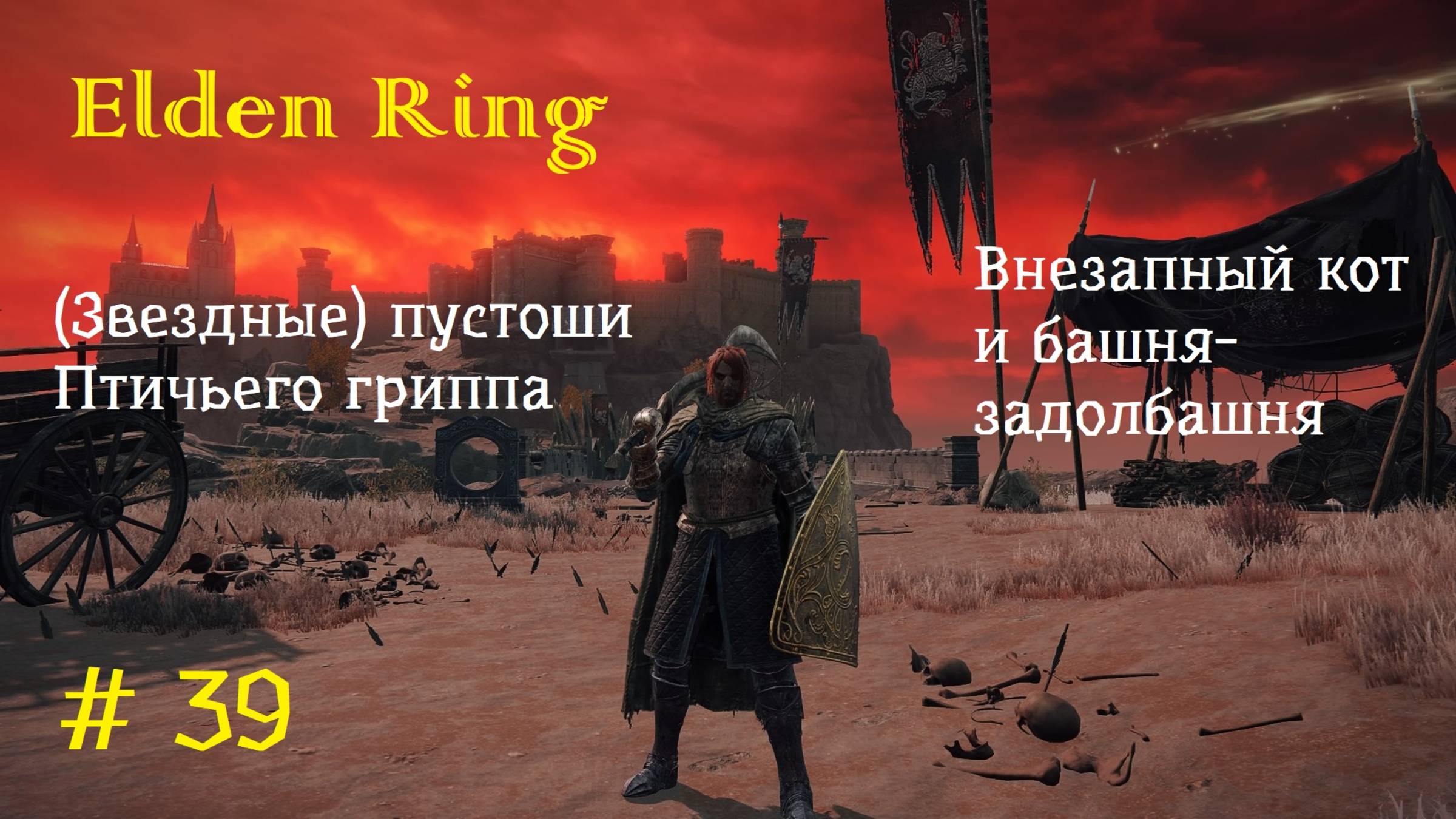 39. ELDEN RING. Пустоши Птичьего гриппа. Внезапный кот. Задолбашня