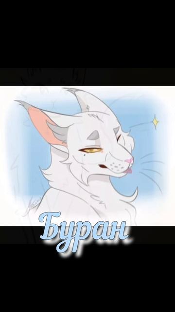 Коты-Воители Буран 🤍