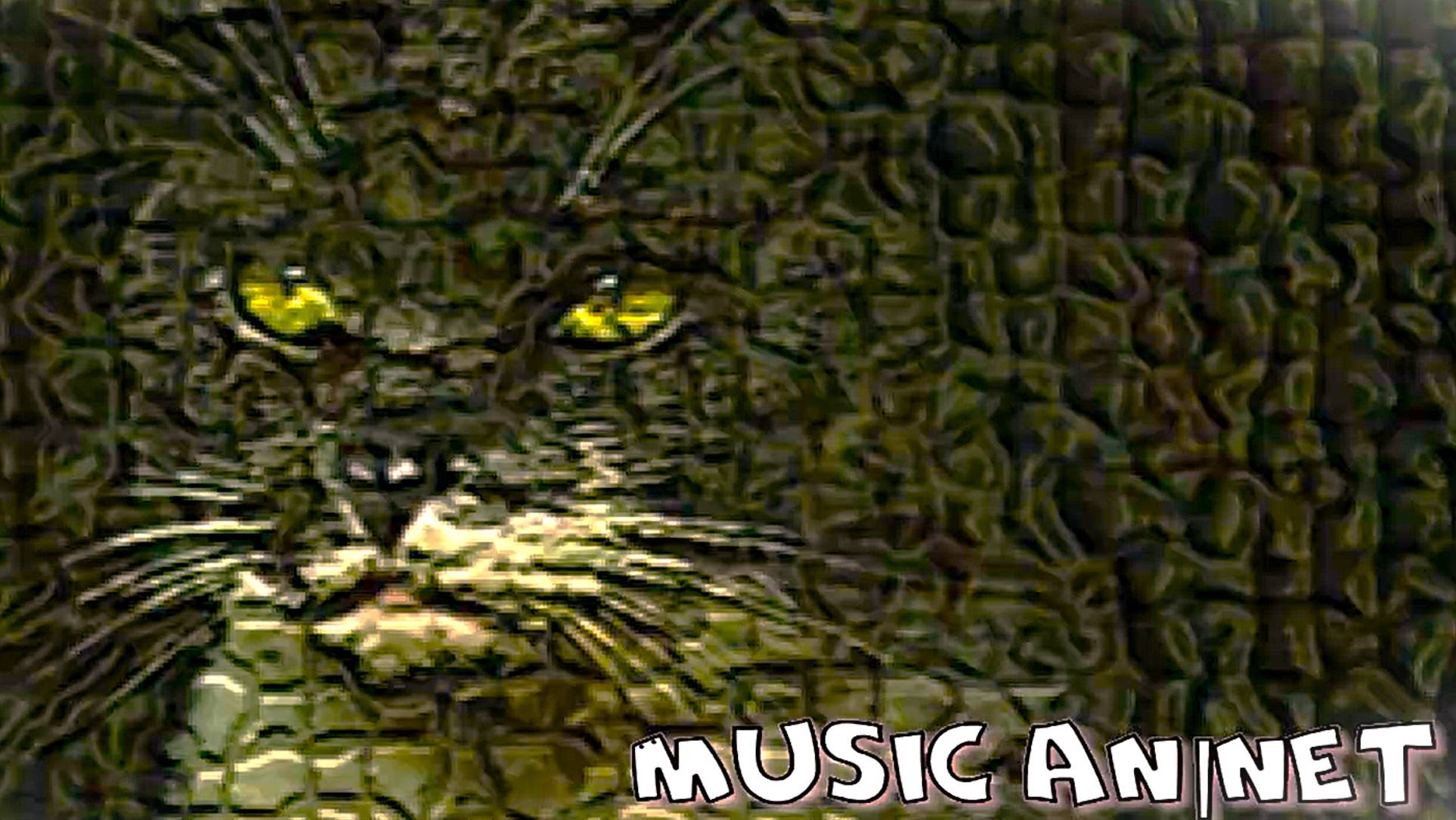 Music AN|NET. Клип - Вася