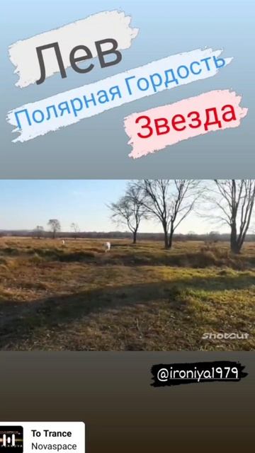 Лёва и Звезда