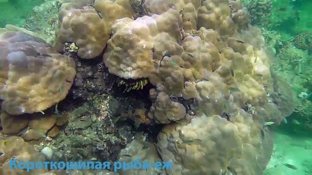 Андаманское море.Ко Хе.День 6.