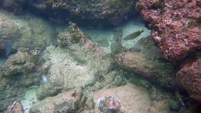 Андаманское море. Пукет 2017 год.