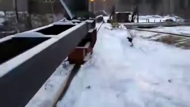 Процесс отбора бревен для строительства срубов - ДревМастер