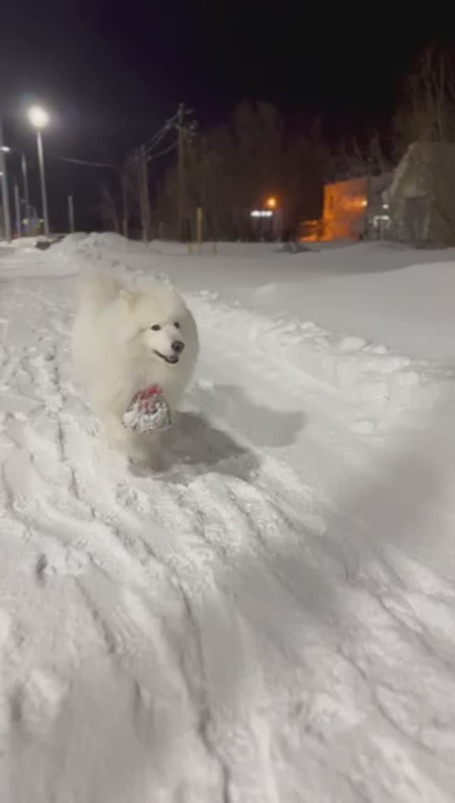 Поиск друзей