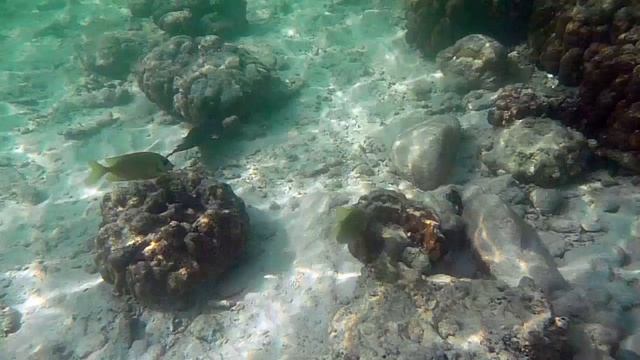 Андаманское море.Ко Хе. День 3.