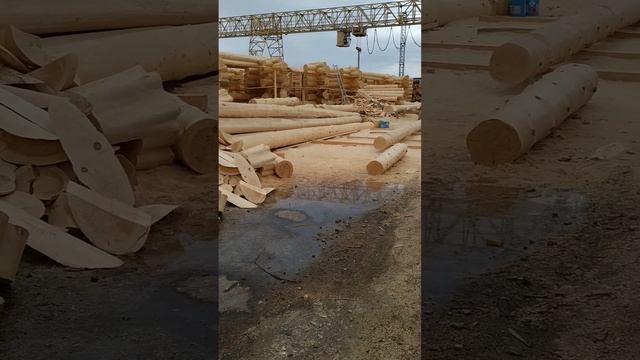 Опил и обрезь на рубочной площадке № 1 ДревМастер