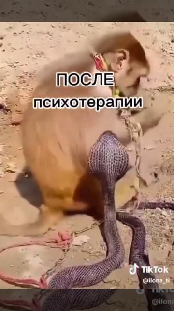 психотерапия