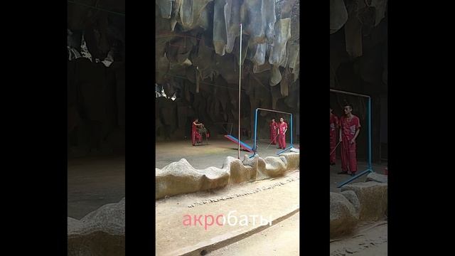 Цирковое представление на острове Обезьян. Санья. Китай 2019 год.