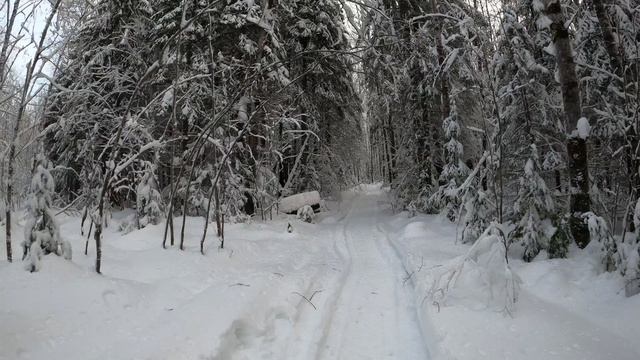 №17 Егоровка -СП