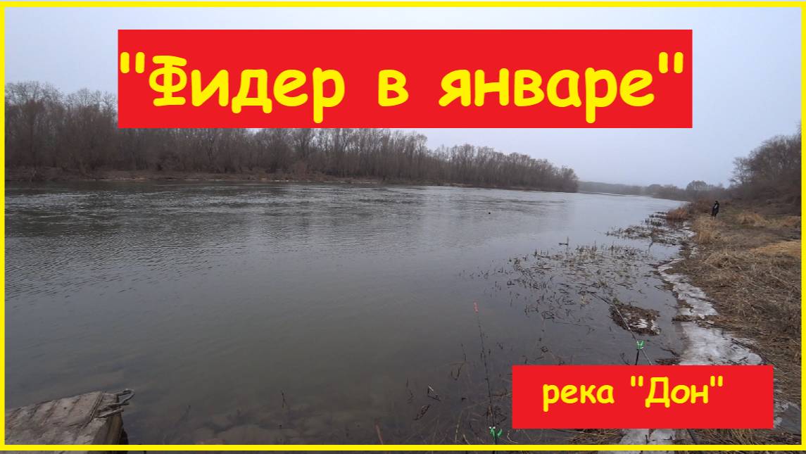 "Фидер в январе".