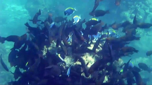 Андаманское море . Пхукет, 2012 год