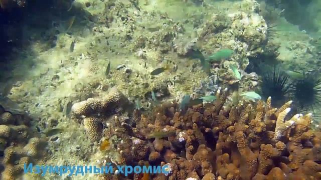 Андаманское море.Ко Хе.День 5.