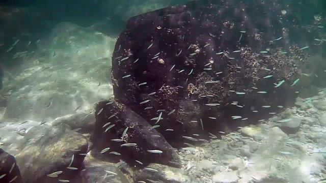 Андаманское море.Ко Хе. День 1.