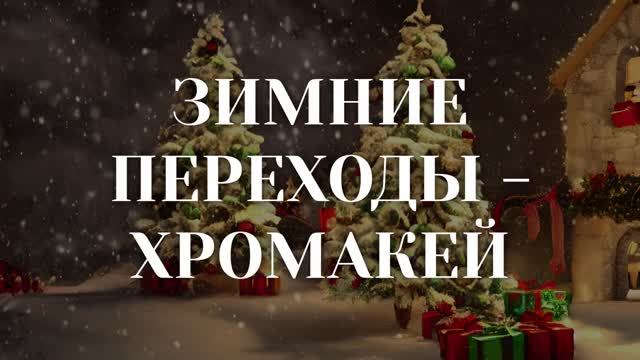 ЗИМНИЕ ПЕРЕХОДЫ ХРОМАКЕЙ