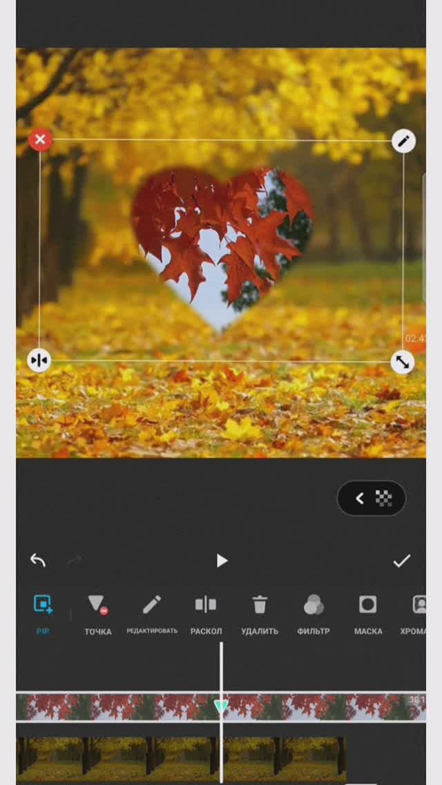 Мини урок по INSHOT