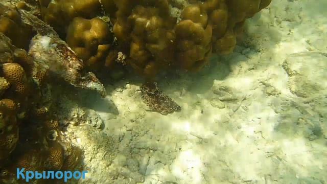 Андаманское море.Ко Хе.День 7.